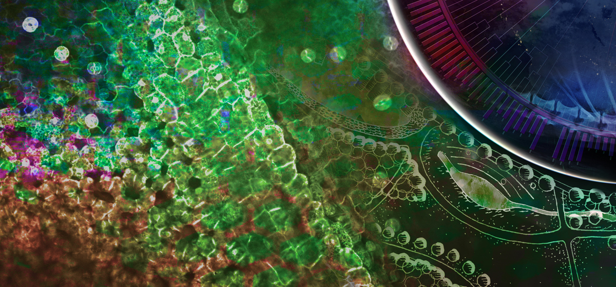 Max Planck Centre next Generation Insect Chemical Ecology | slu.se