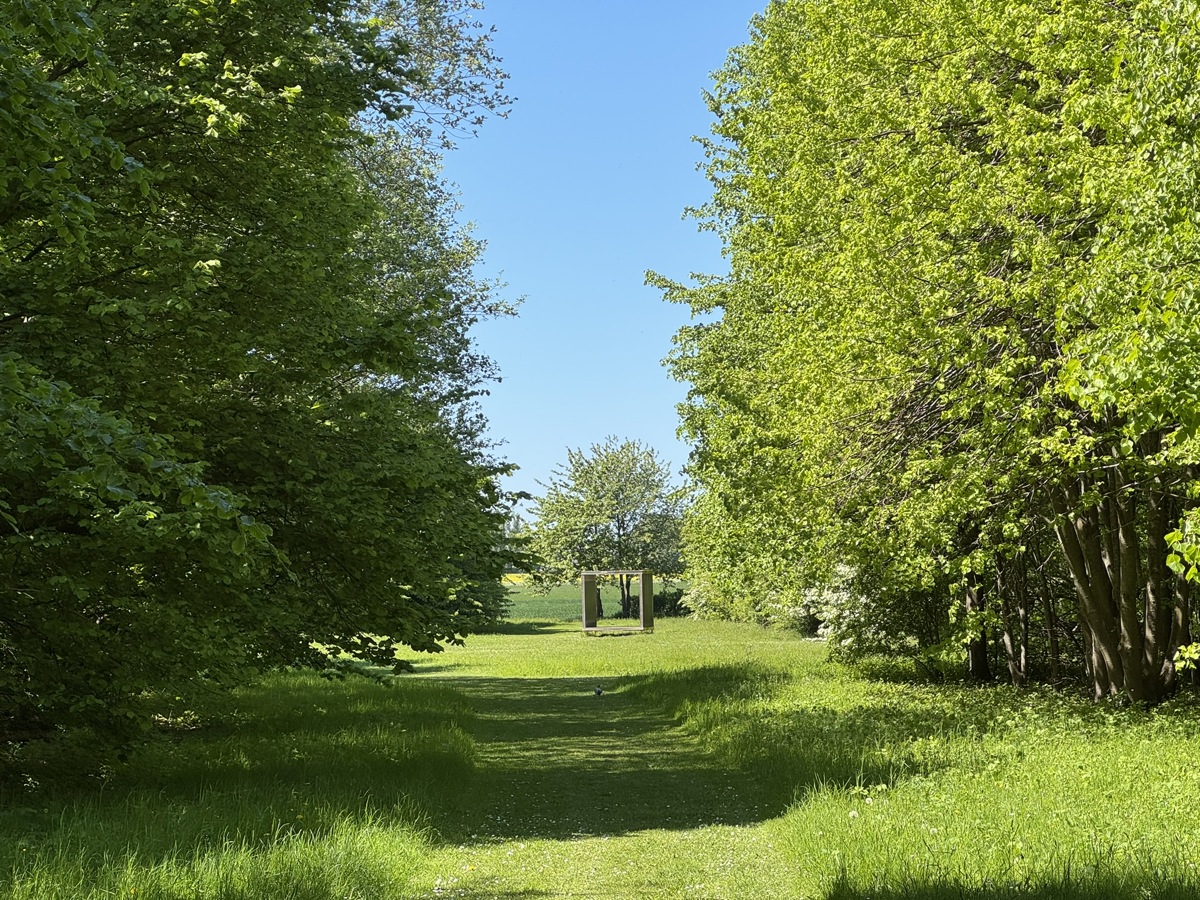 Utbildning vid Institutionen för landskapsarkitektur, planering och förvaltning | slu.se