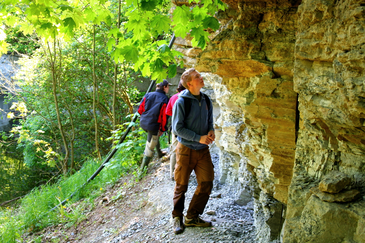 Masterprogram | slu.se