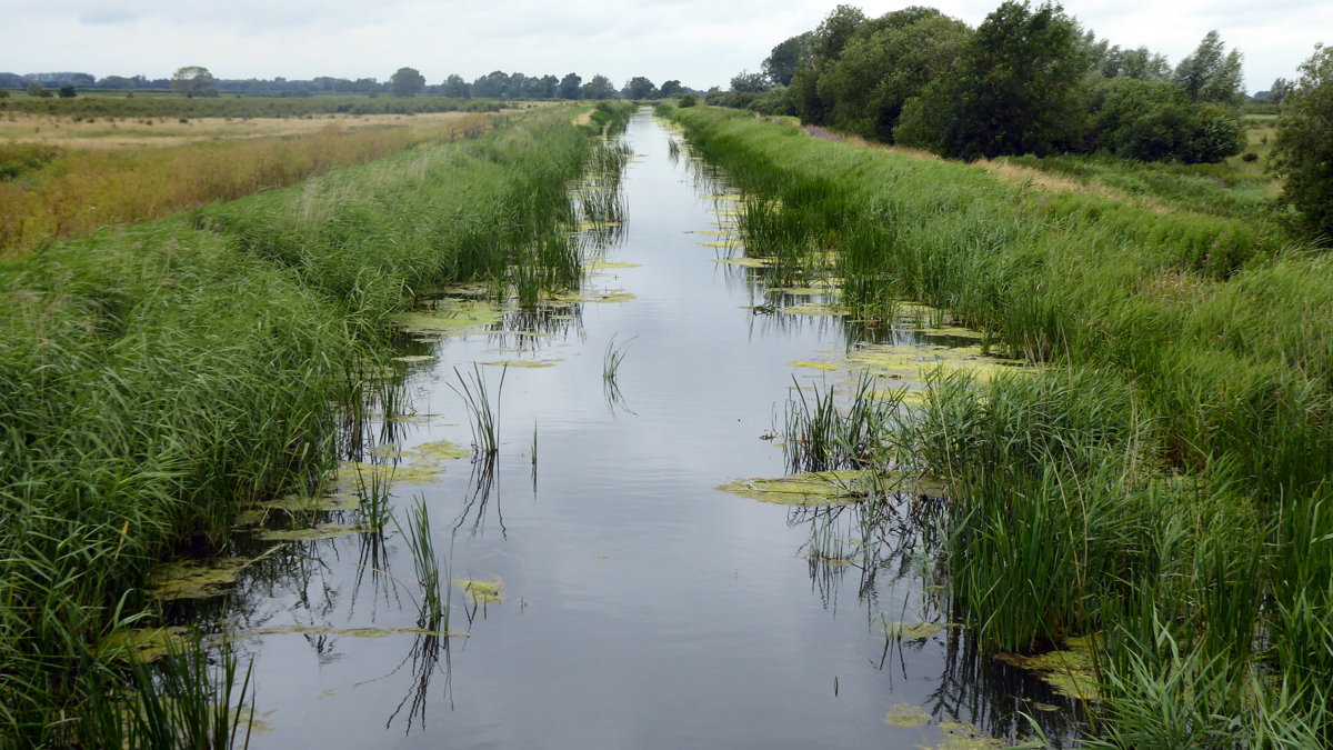 What is actually a ditch? | slu.se