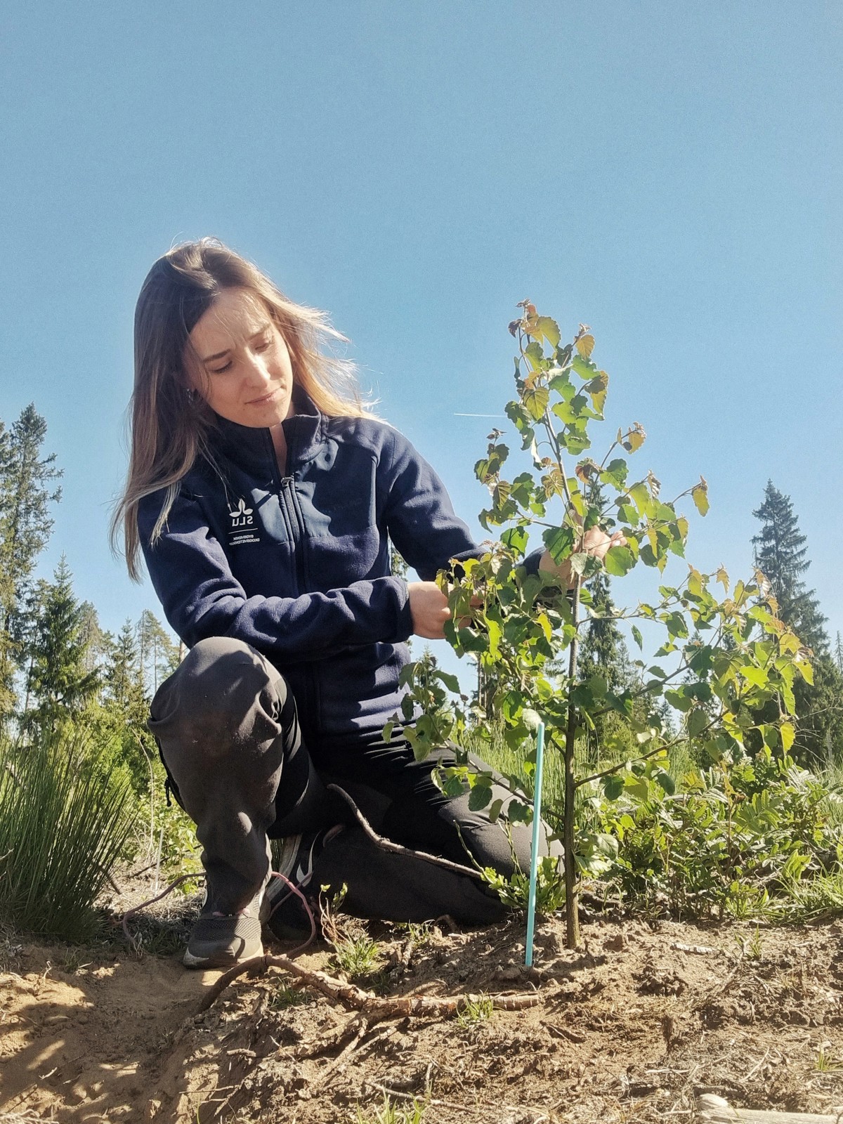 Kinga Stolarek | slu.se