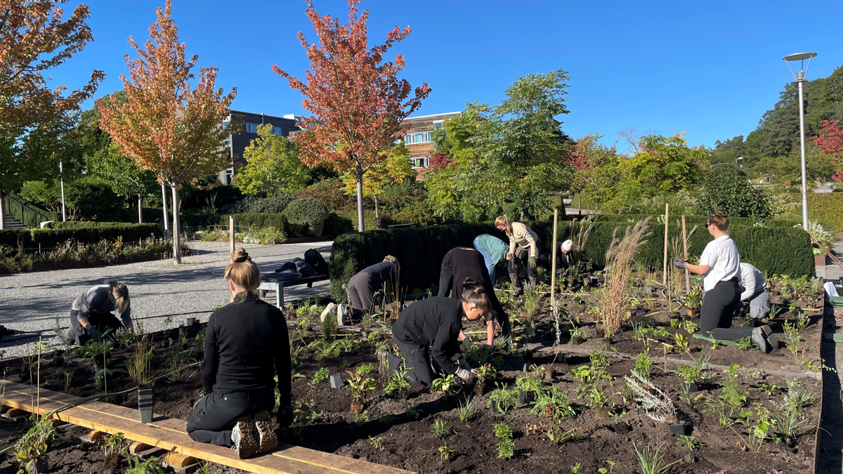 En ny experimentell plantering i Ultunas egen botaniska trädgård | slu.se