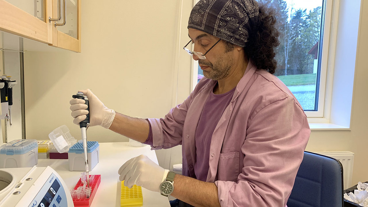 Genetic laboratory | slu.se