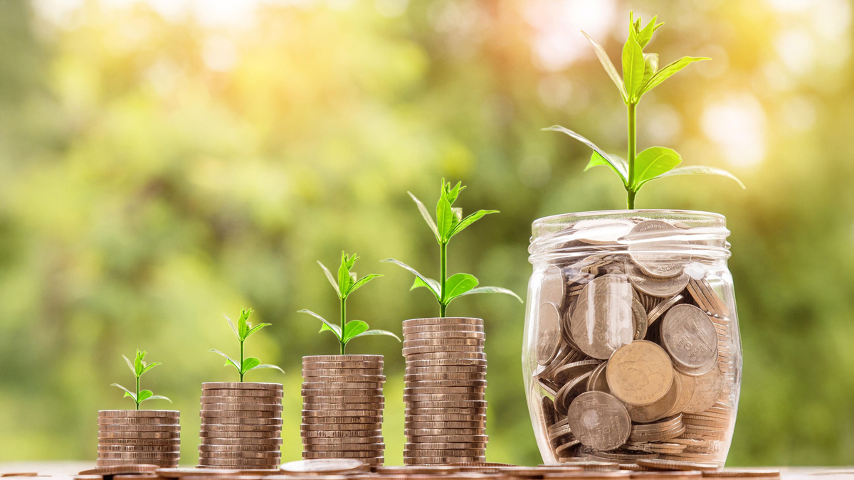 Seed money projects | slu.se
