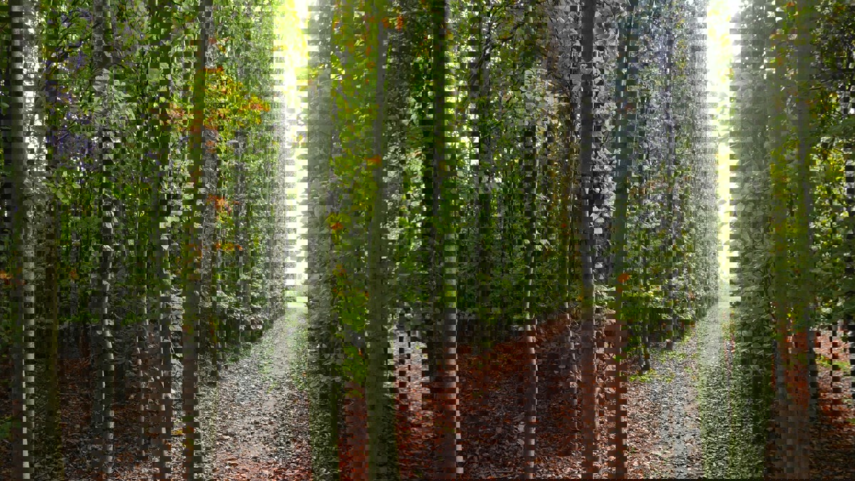 Alnarp Landscape Laboratory | slu.se