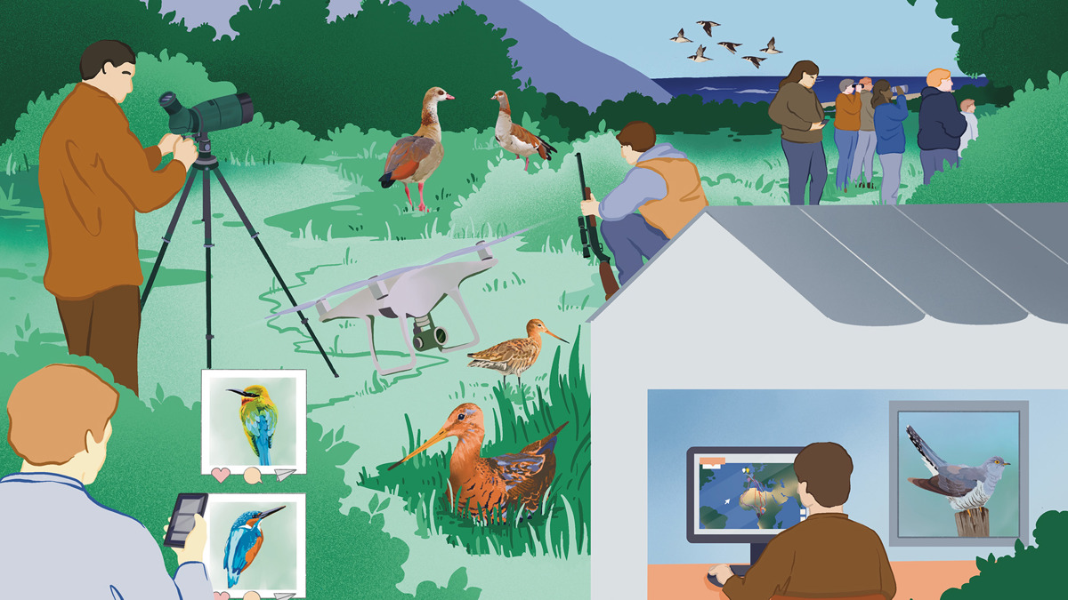 Digital tools are reshaping our relationship with birds | slu.se