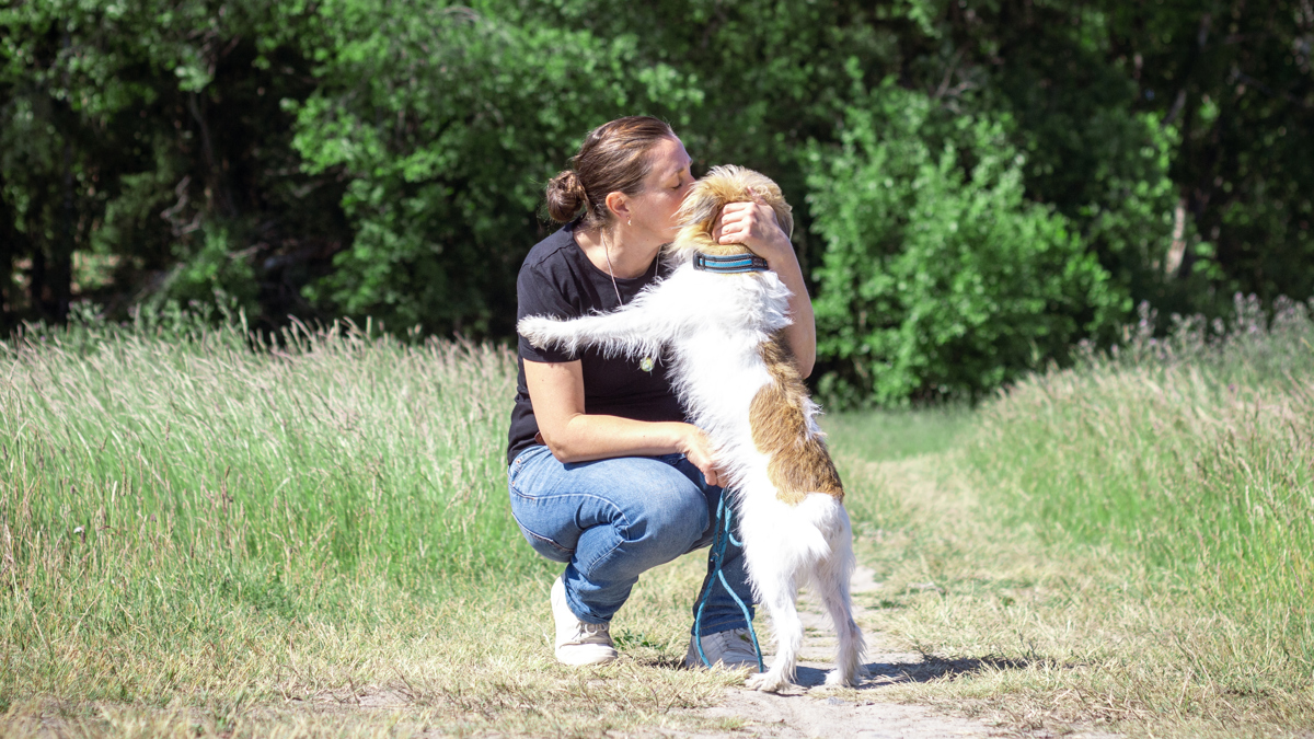 Forskningsnytt djur | slu.se