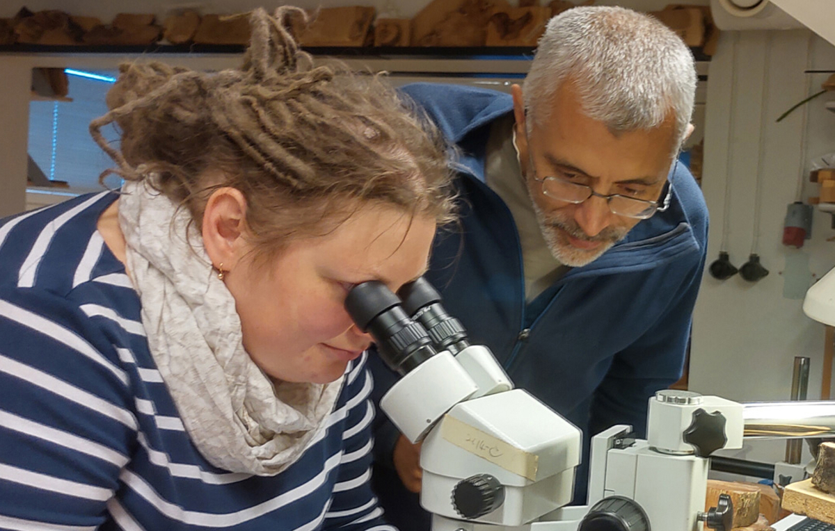 Dendrochronological laboratory of SLU | slu.se