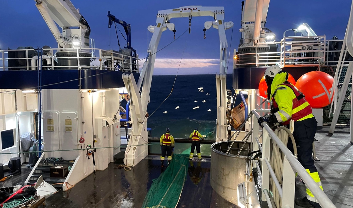 Marine fish – FD2 | slu.se