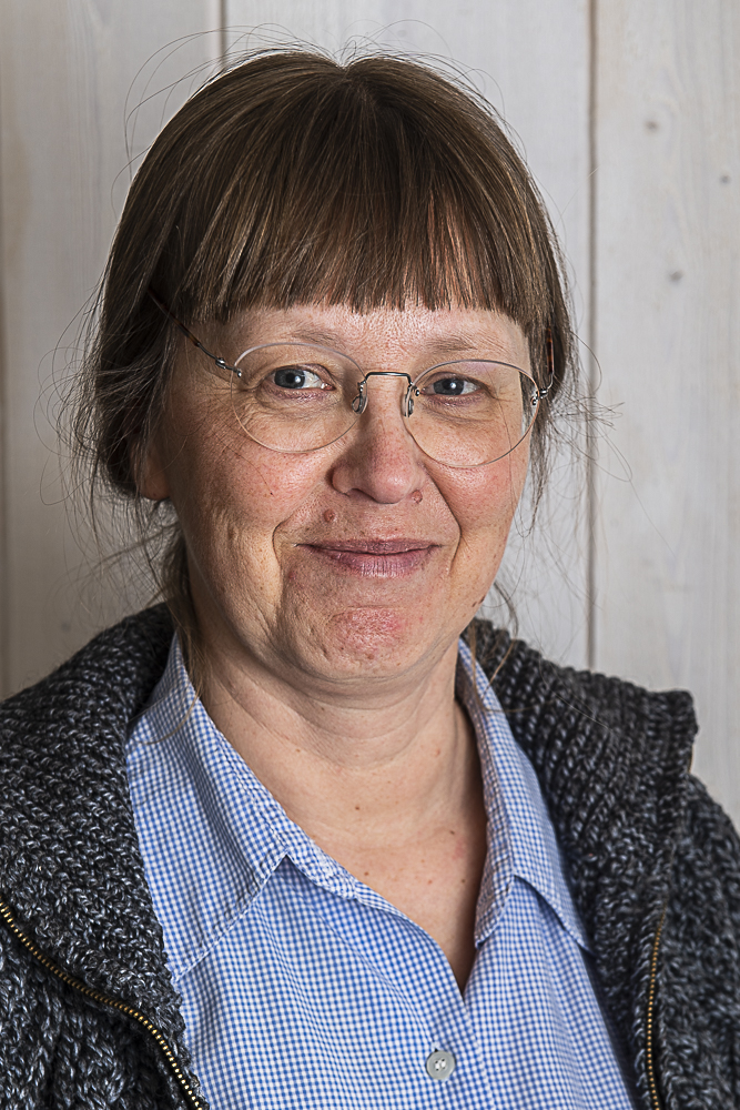 SLU-experten: Därför råder det brist på nötkött | slu.se