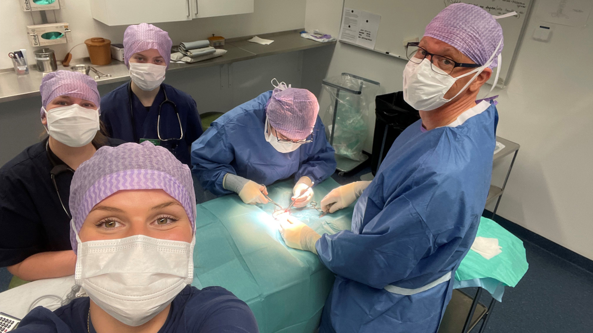 New surgical methods of benefit to both humans and animals | slu.se