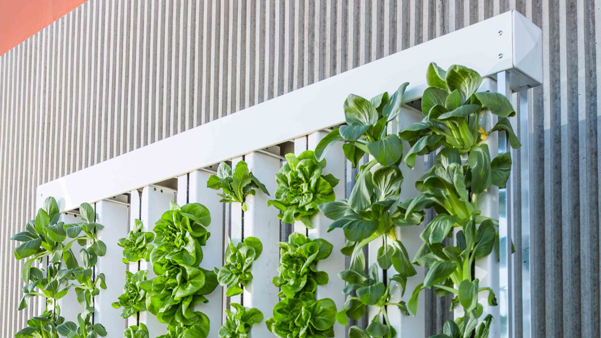 Urban Horticulture - Outdoor and Indoor Farming | slu.se
