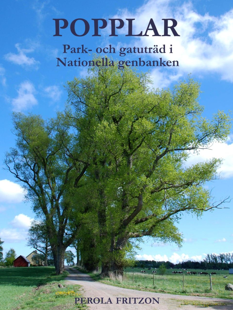 Popplar. Park- och gatuträd i Nationella genbanken. | slu.se