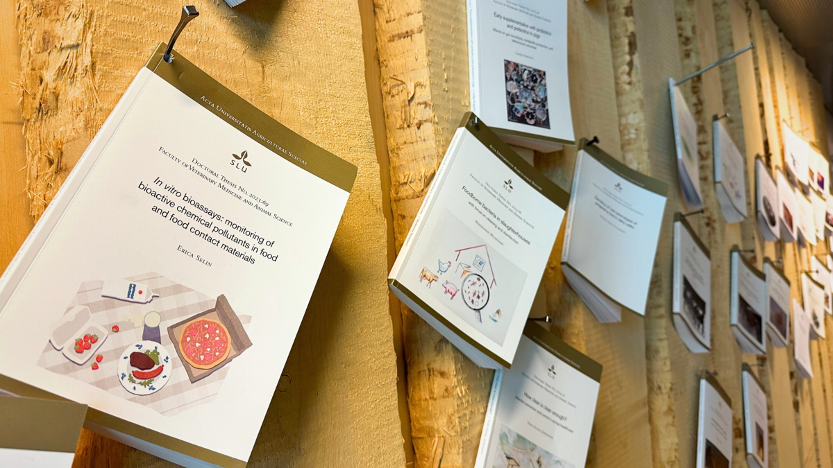 Doctoral (PhD) Studies | slu.se