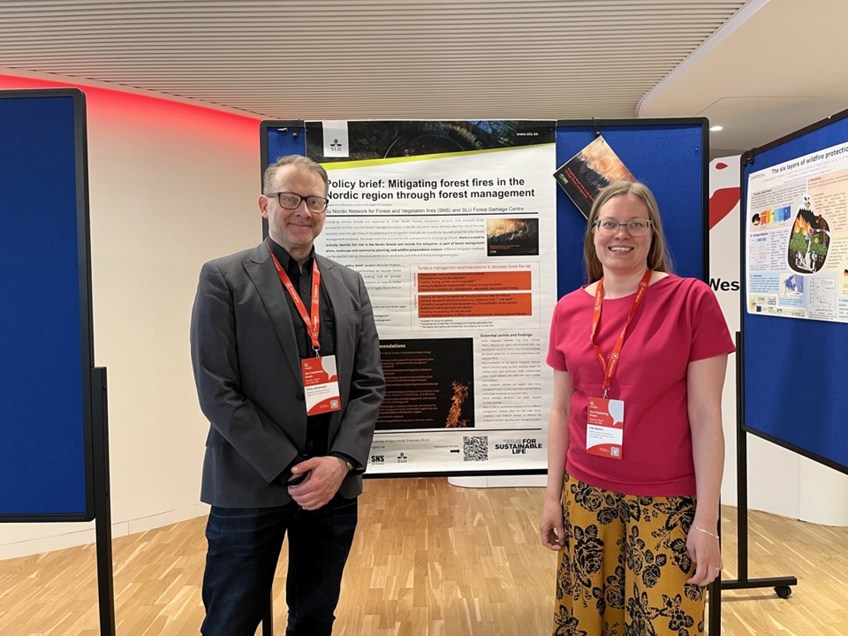 Need for an integrated risk management strategy for forest fires in the EU | slu.se