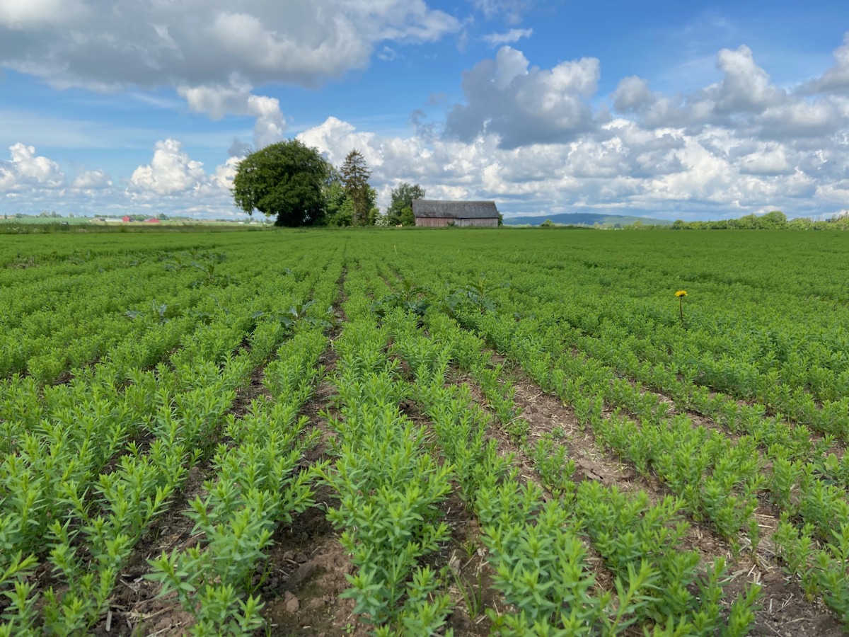 Ekoresan 2025 | slu.se