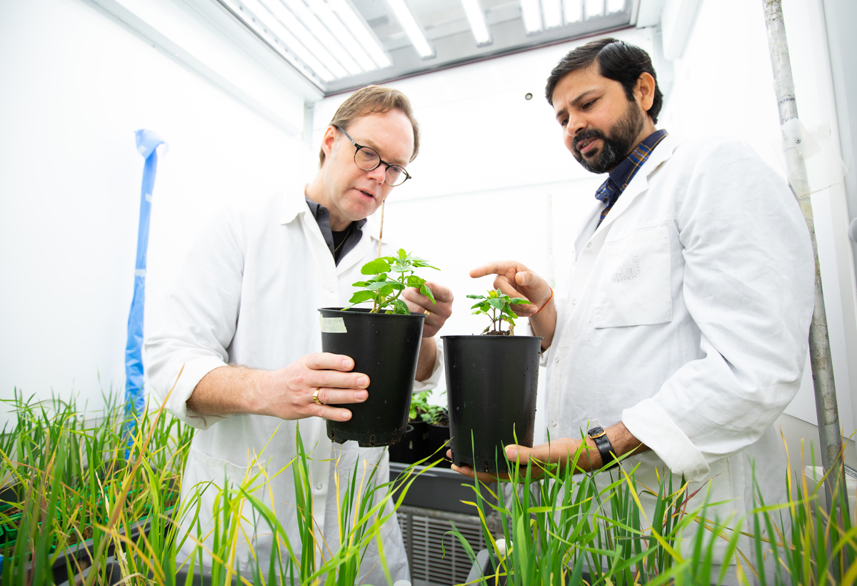 External collaboration specialists | slu.se