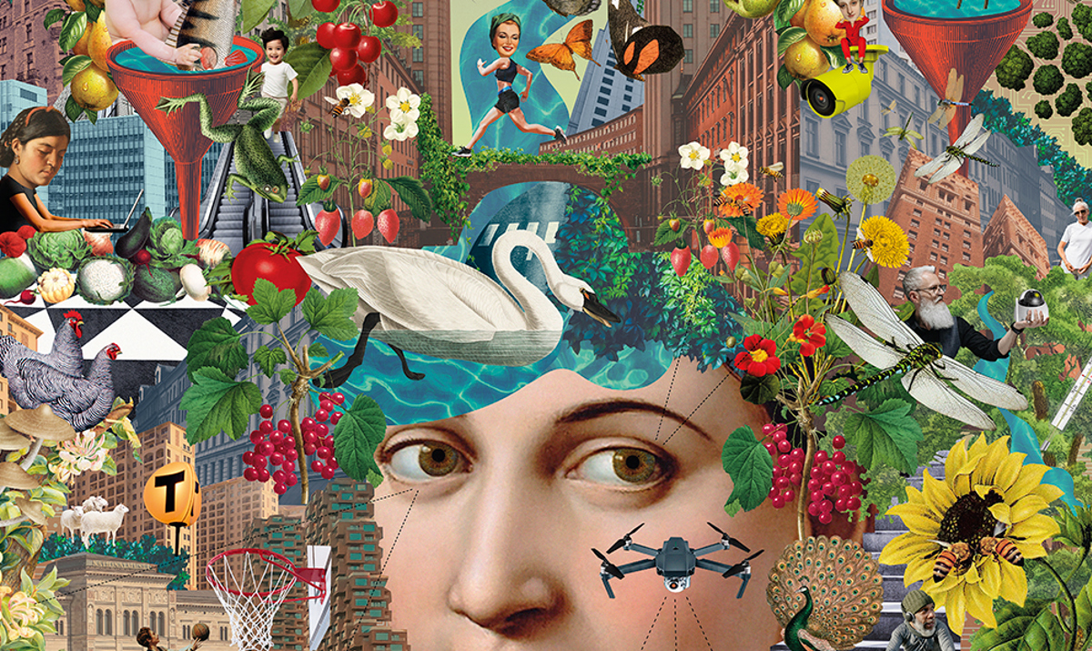 När vattnet ritar om kartan – utmaningar och möjligheter för framtidens ...