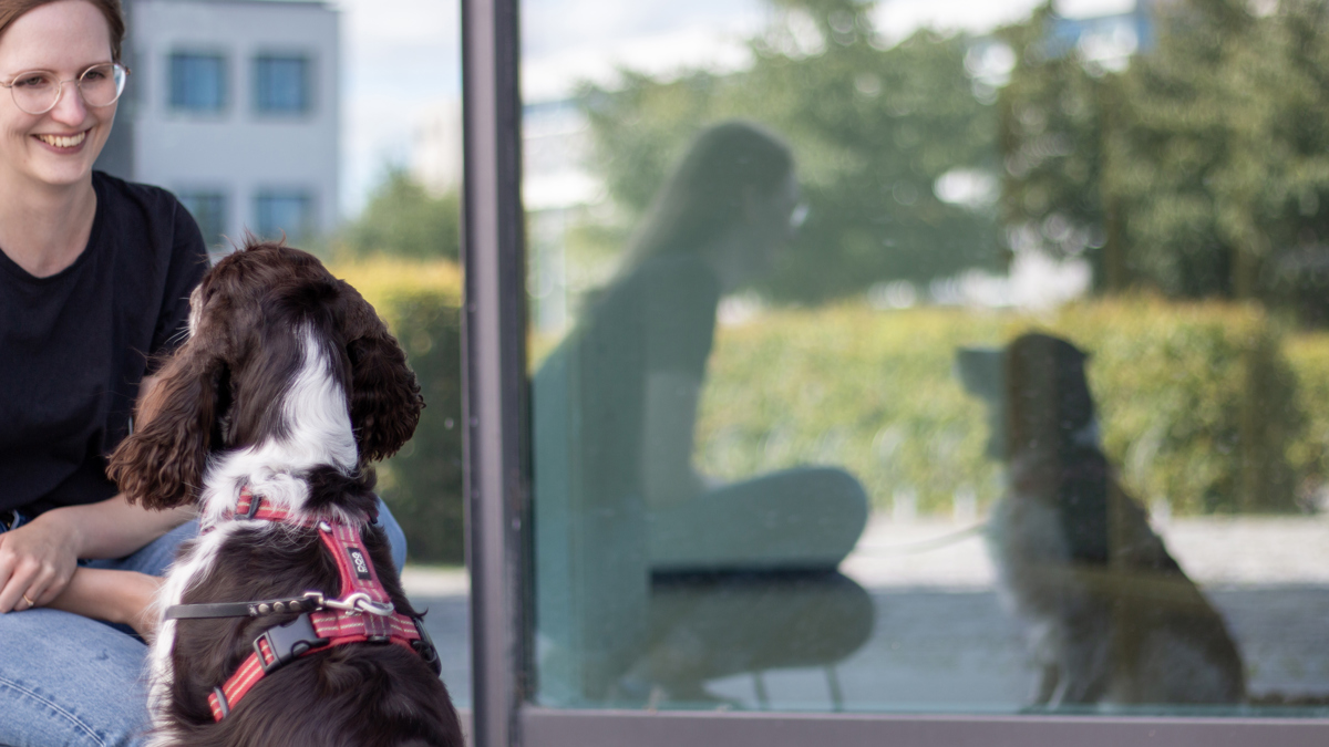 Virus-induced encephalitis in dogs and humans – in search of answers to ...