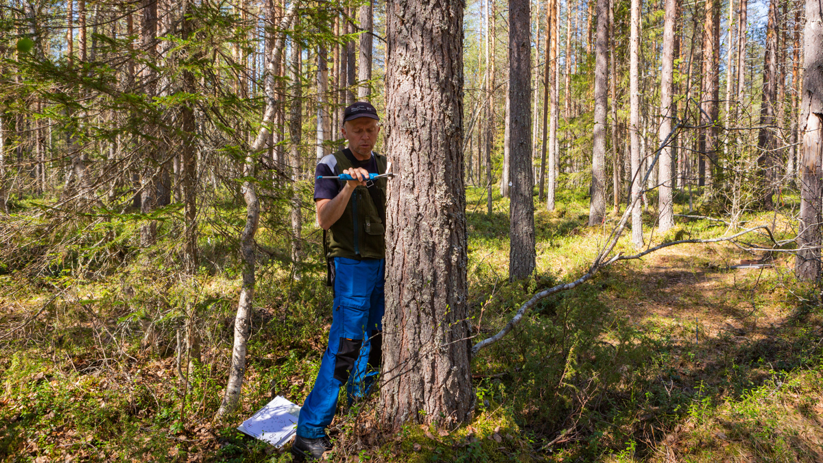 Long-term field trials | slu.se