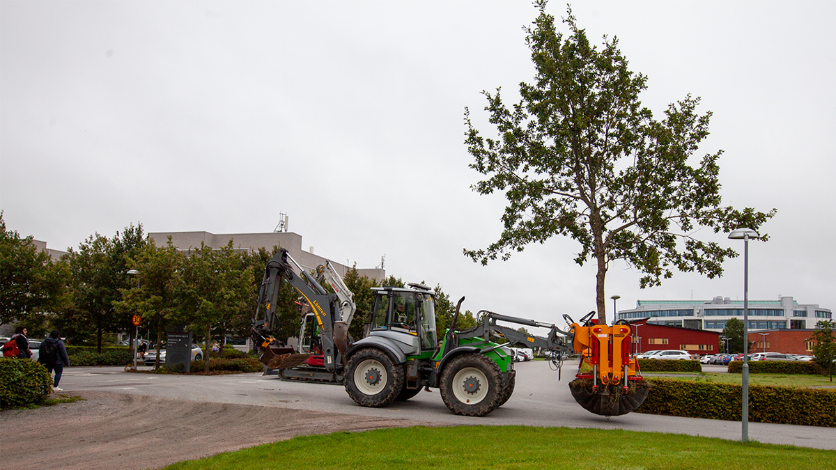 Ekar på rull genom campus Ultuna | slu.se