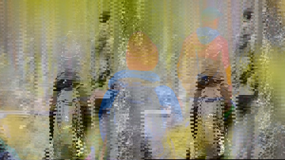 Undergraduate education | slu.se