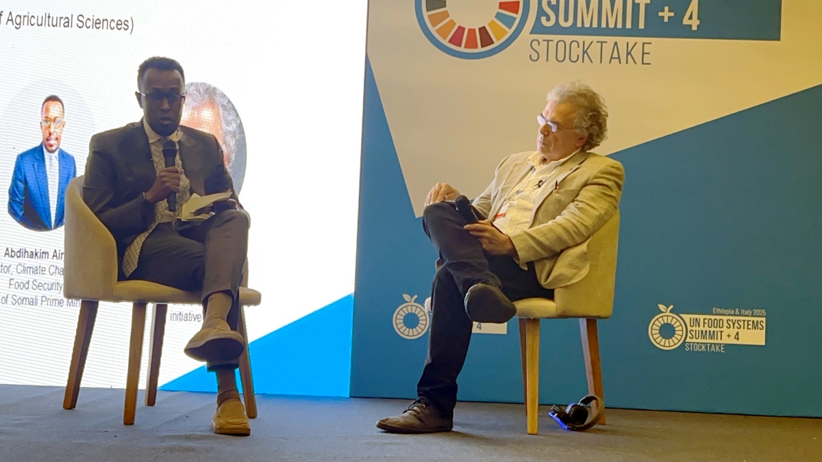 From Crisis to Sustainability: Building Resilient and Inclusive Food ...