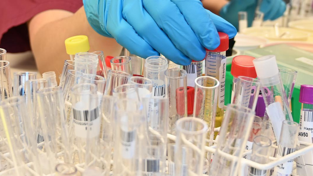 Clinical Pathology | slu.se