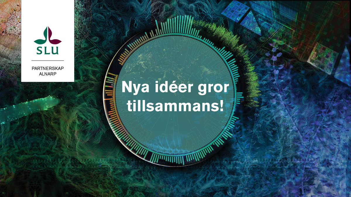 Nya idéer gror tillsammans! | slu.se