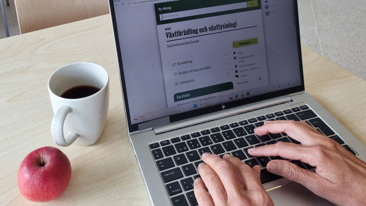 Programmes and courses | slu.se