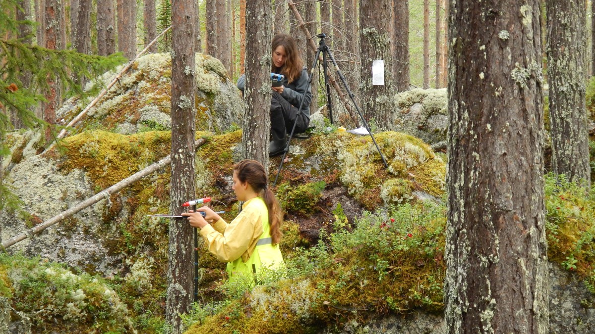 Skoglig inventering och sampling | slu.se