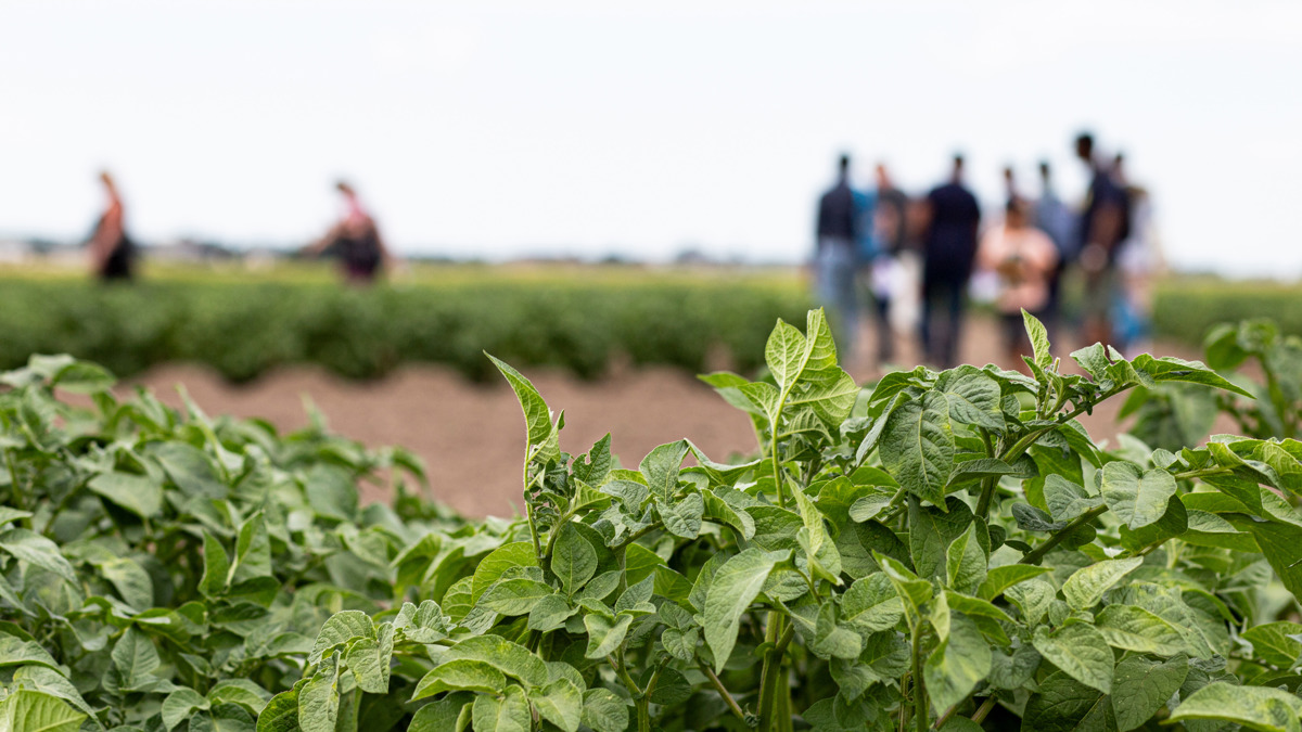 About SLU Grogrund | slu.se