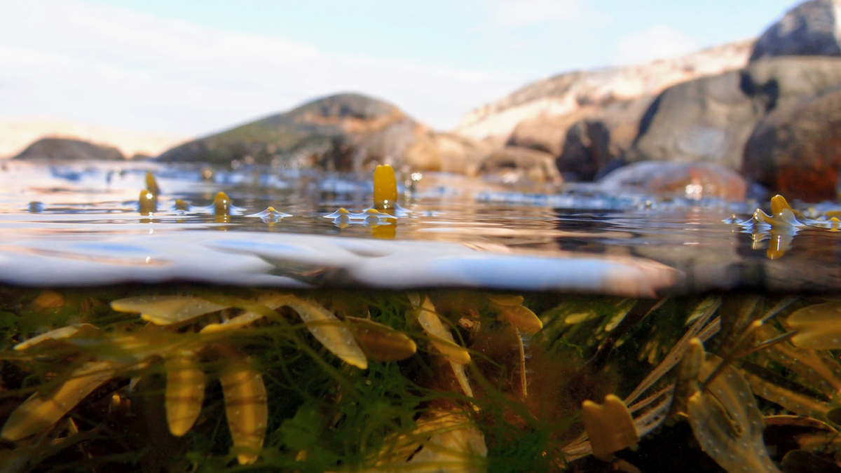 Workshops and seminar series | slu.se