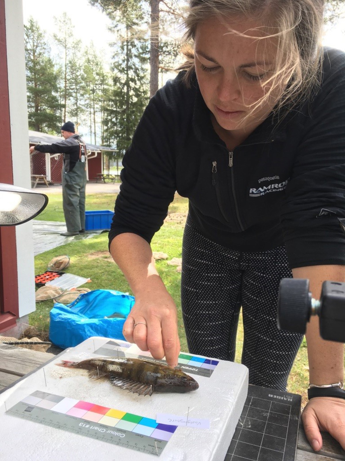 New study reveals how risk of predation and water clarity affect eye ...