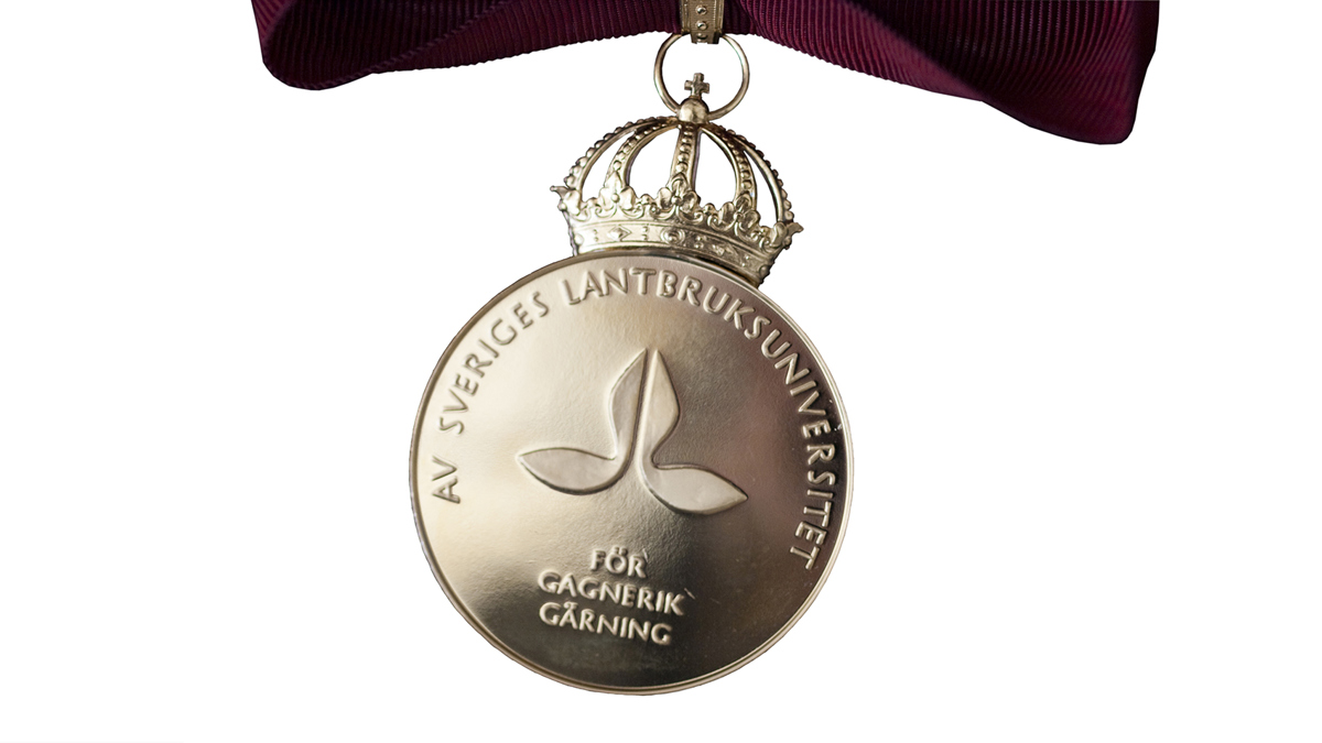 The SLU Awards for Distinguished Service | slu.se