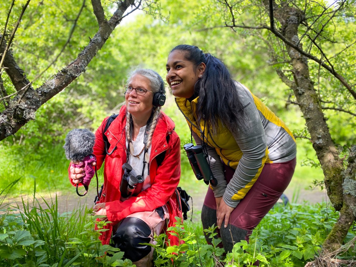 Naturmorgon i SR P1 | slu.se