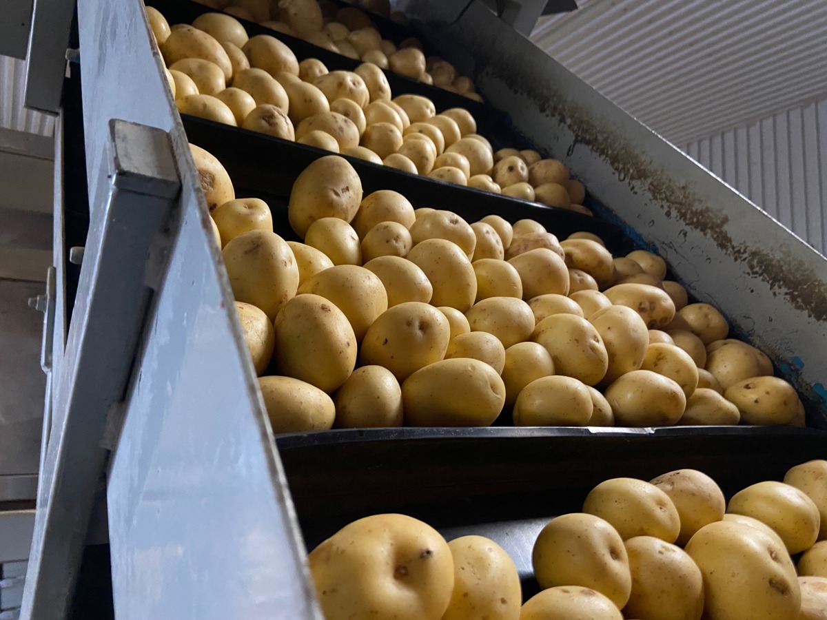 Utlysning samarbetsprojekt | slu.se