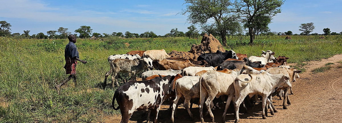 Scientific SLU publications linked to One Health | slu.se