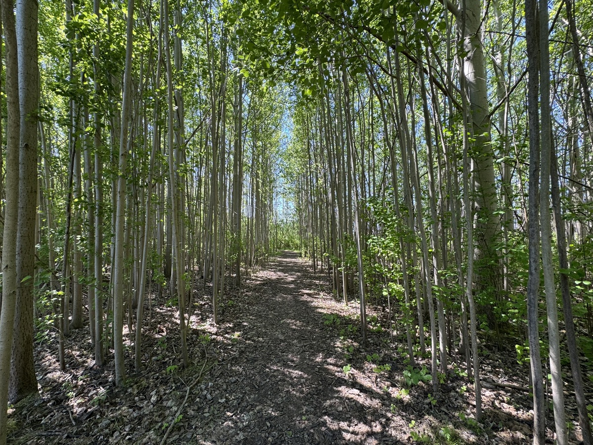 Department of Landscape Architecture, Planning and Management | slu.se