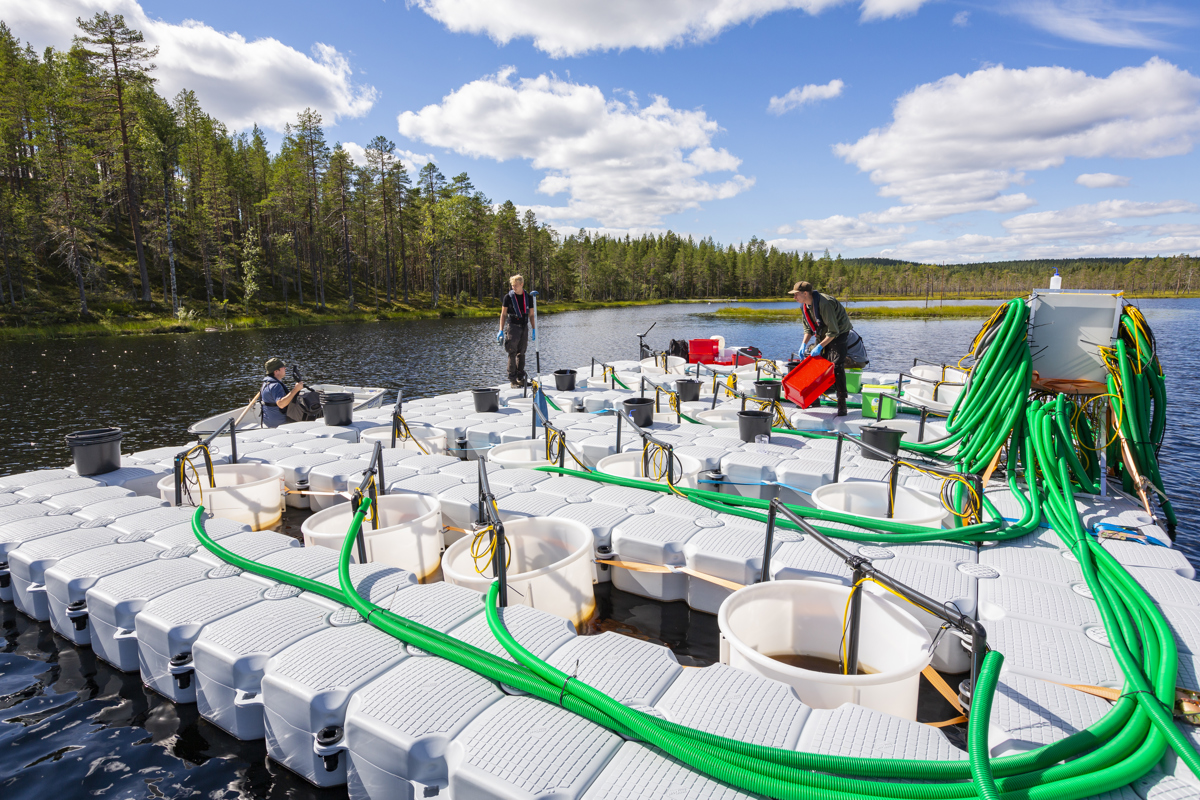 Undergraduate studies | slu.se