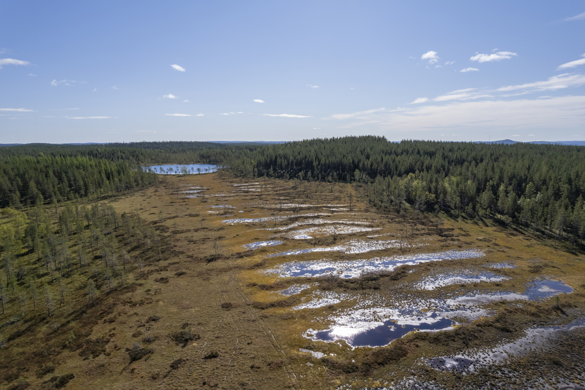 Mer läsning | slu.se