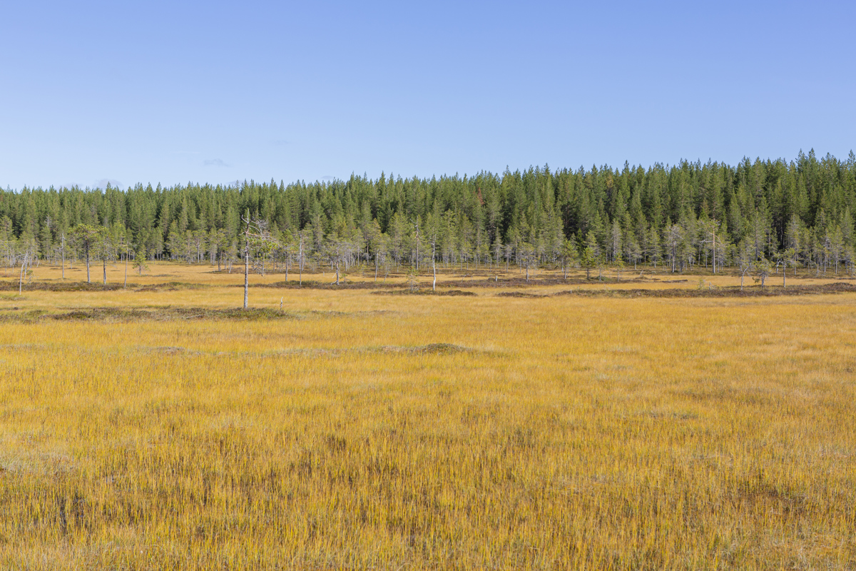 Here are the maps | slu.se