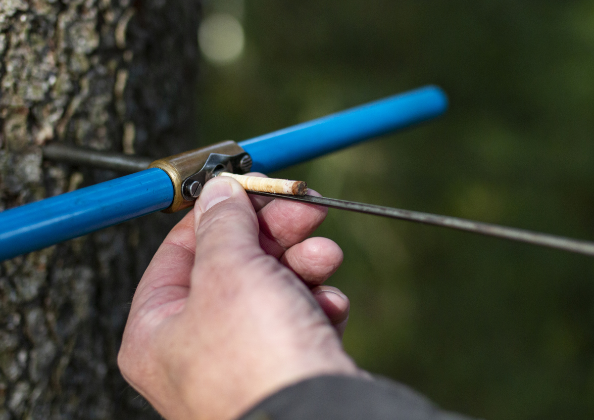 How we work | slu.se