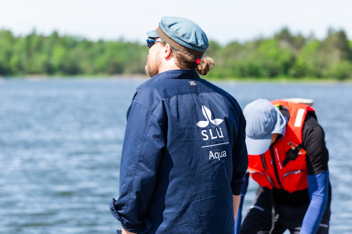 Samverka med oss | slu.se